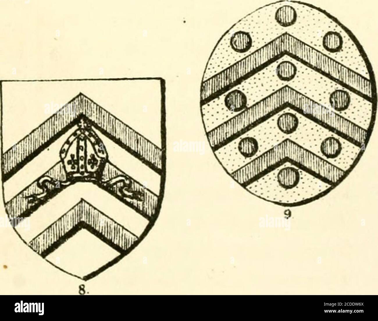 Bordure engrailed hi-res stock photography and images - Alamy