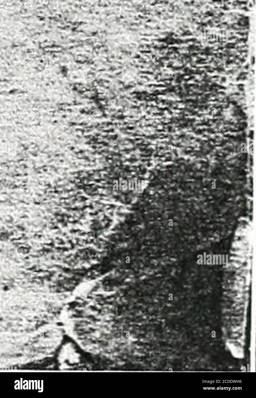 Map of baltimore 1729 hi-res stock photography and images - Alamy