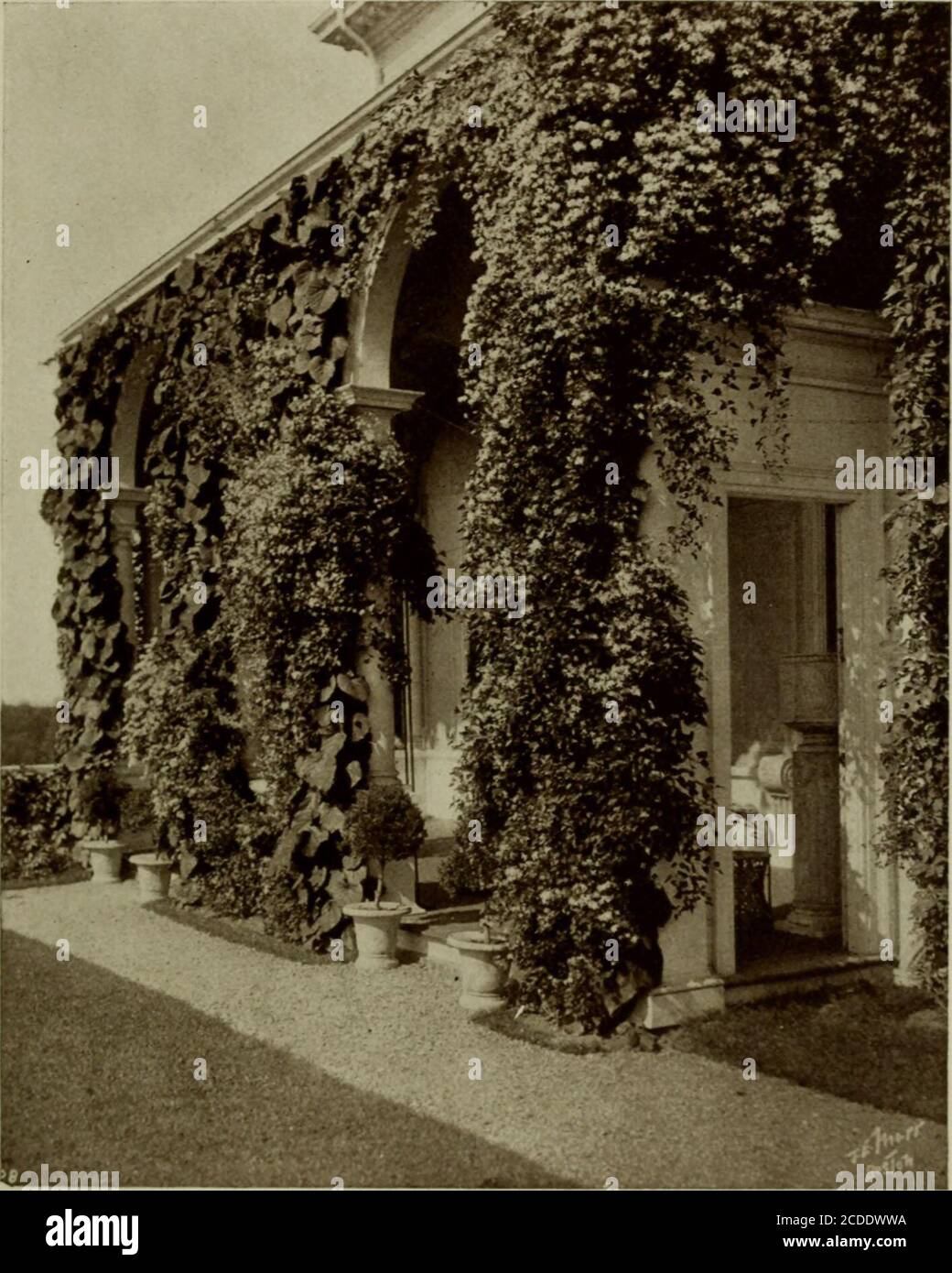 . A practical handbook of trees, shrubs, vines and herbaceous ...