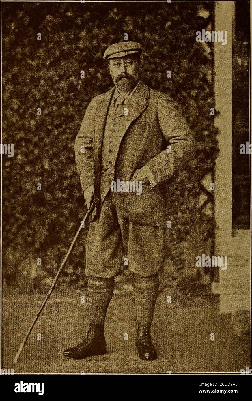 Donkey chair hi-res stock photography and images - Alamy