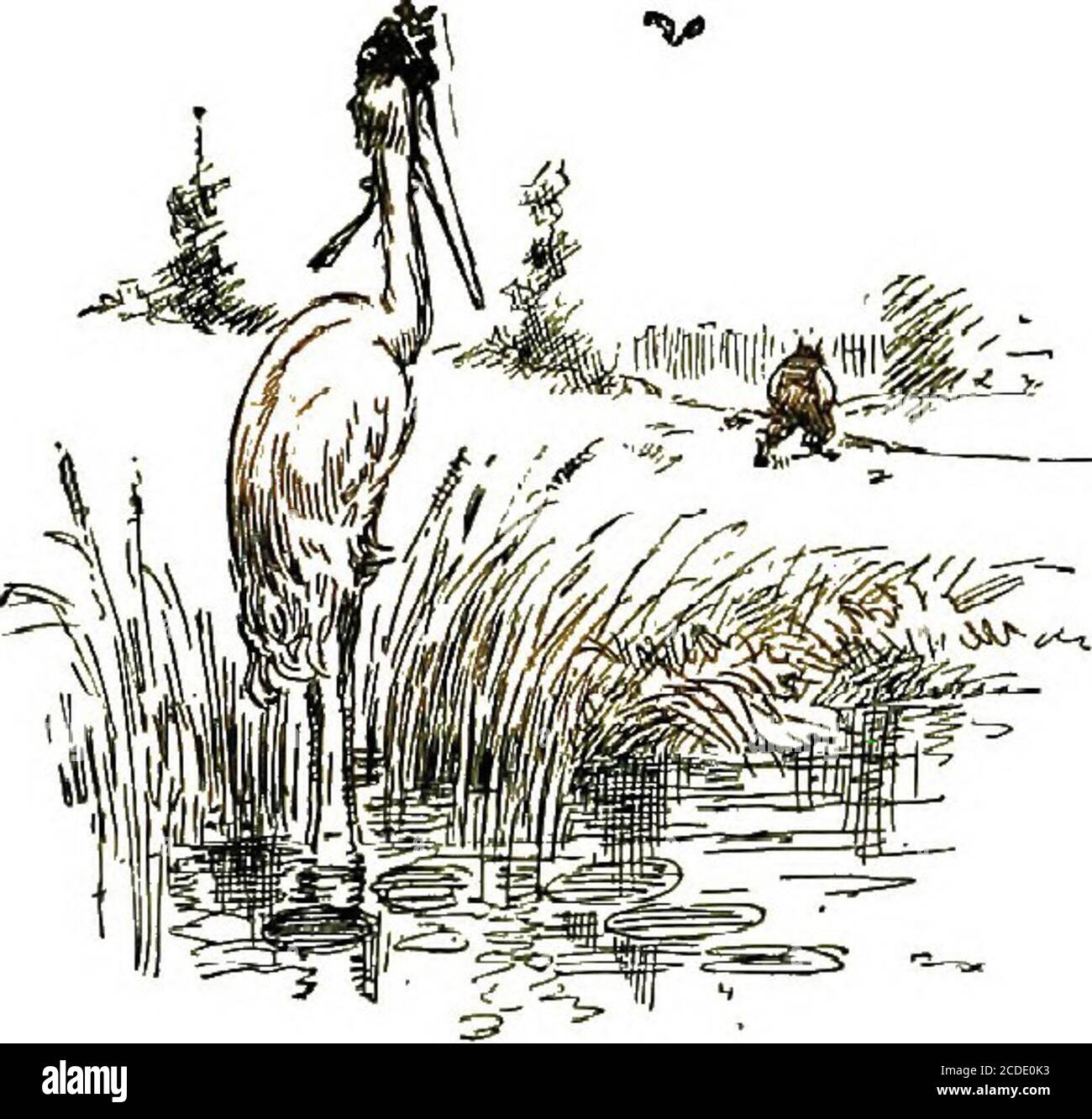 . In fableland . Then Lobo opened his mouth very wideand Mrs. Crane ...