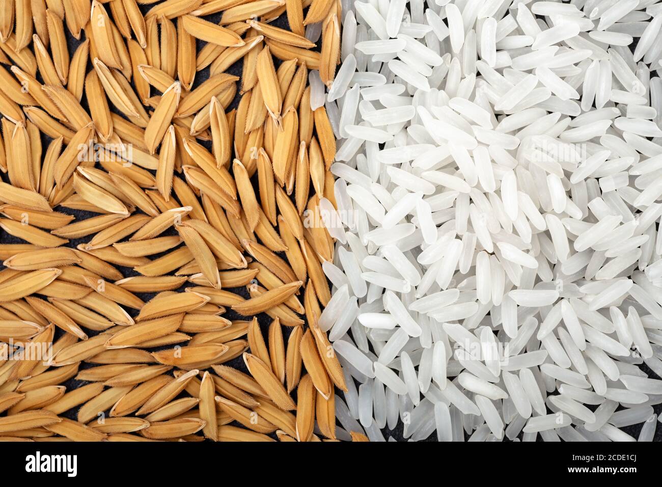 Jasmine rice and rice paddy background and texture Stock Photo - Alamy
