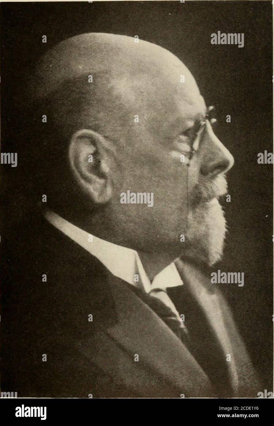 Bismarck brains hi-res stock photography and images - Alamy