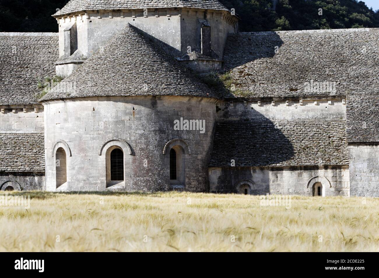 Senanque detail hi-res stock photography and images - Alamy