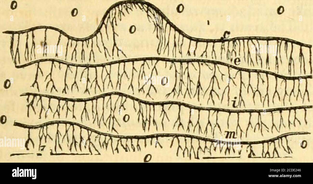Sugar ditch hi-res stock photography and images - Alamy
