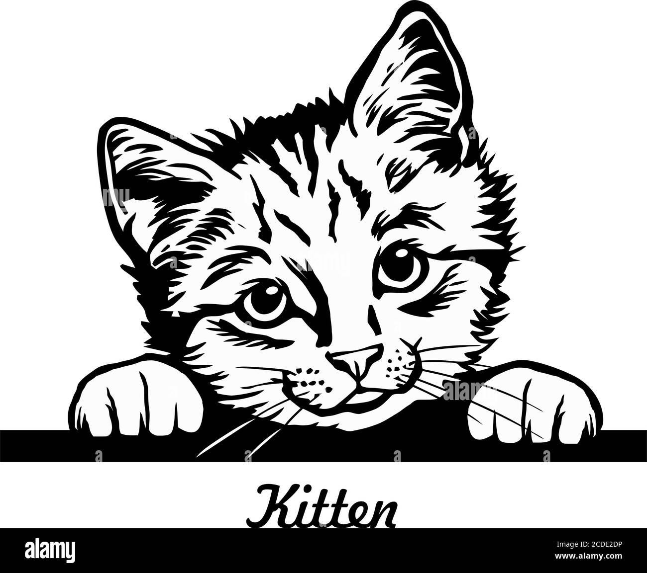 Peeking Kitty - Cheerful kitty peeking out - cat head isolated on white ...