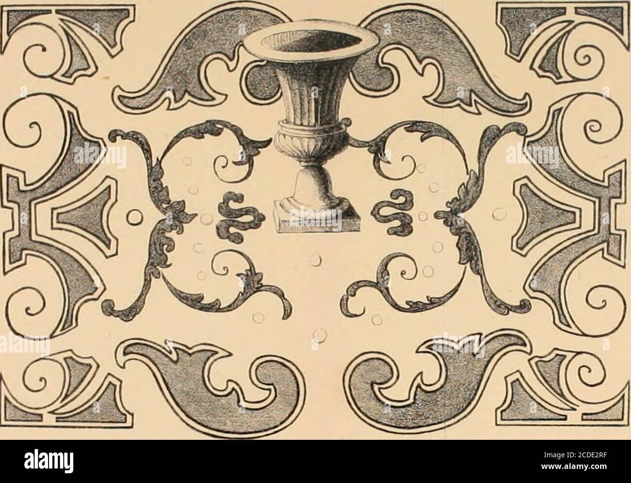 Queenand hi-res stock photography and images - Alamy