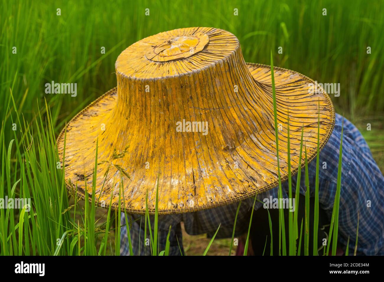 Traditional thai hat hi-res stock photography and images - Alamy