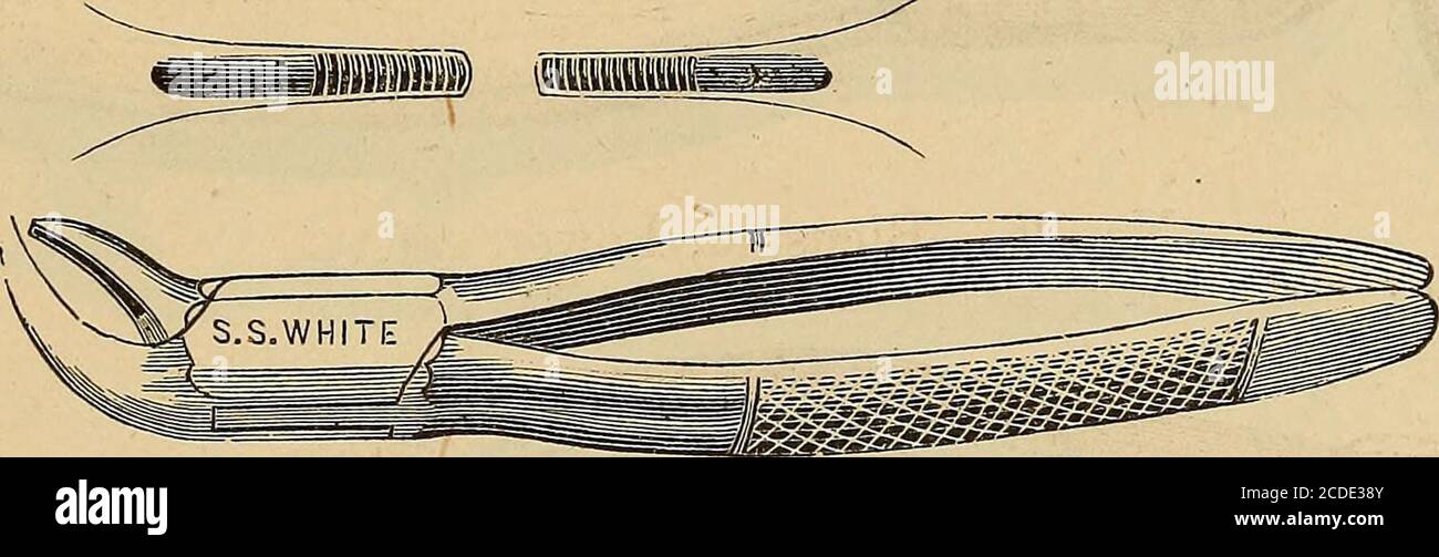 . Catalogue of dental materials, furniture, instruments, etc., for sale ...