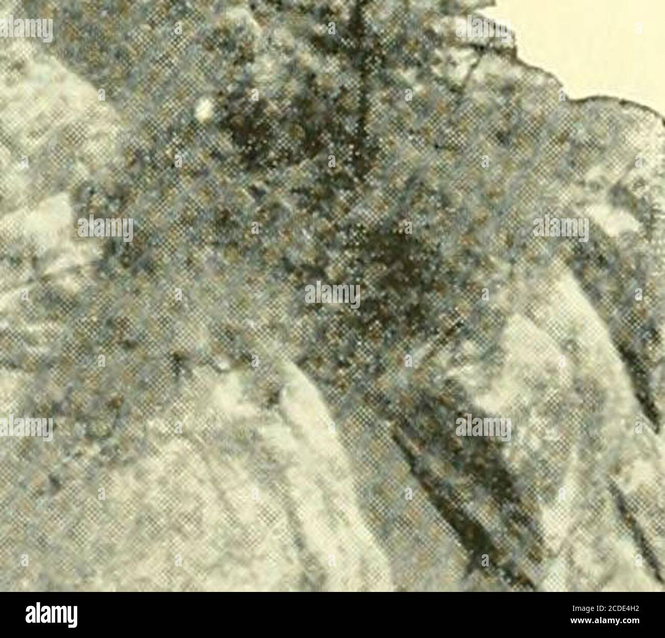 Pullman drawing room hi-res stock photography and images - Alamy