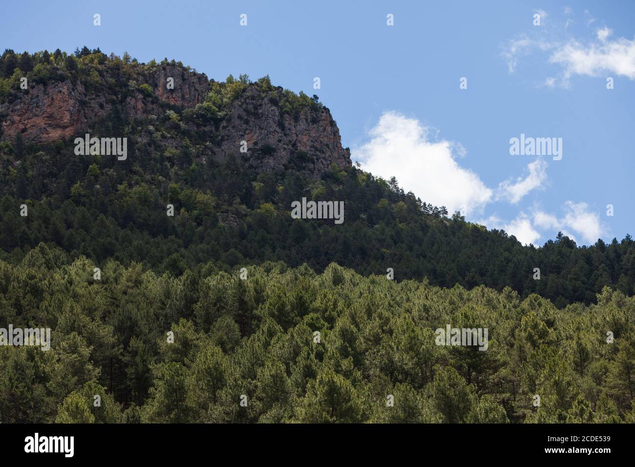 Beautiful view of forested mountains at daytime Stock Photo - Alamy