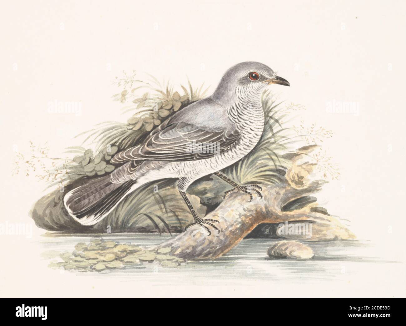 Elizabeth gwillim hi-res stock photography and images - Alamy