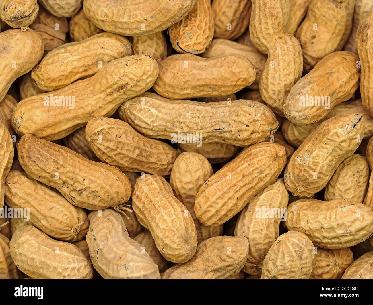 Peanuts plants hi-res stock photography and images - Alamy