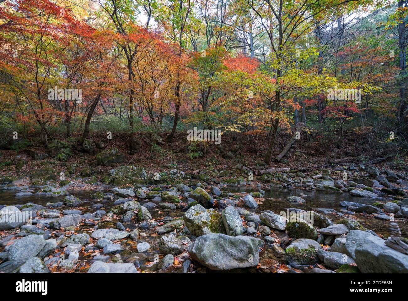Korean countryside trail hi-res stock photography and images - Alamy