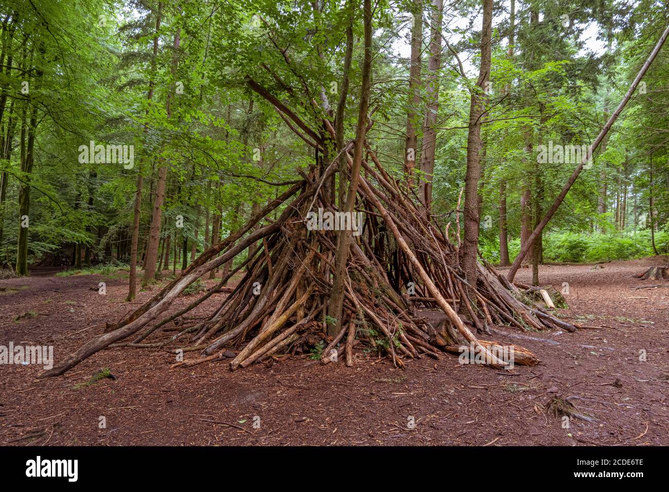 Shelter made from branches hi-res stock photography and images - Alamy