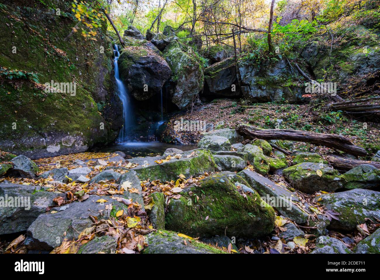 Autumn forest with stone moss in Korean Mountain stream Stock Photo - Alamy