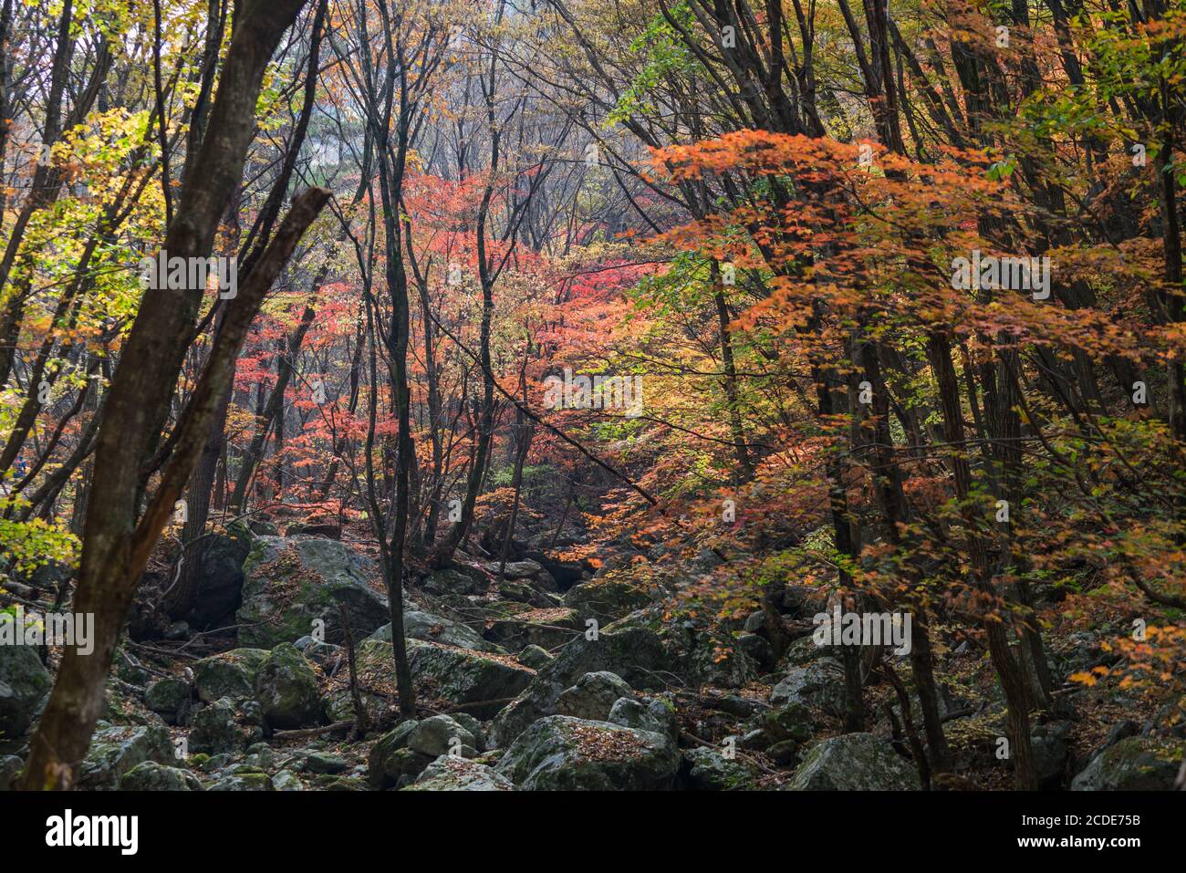 Korean mountain hi-res stock photography and images - Alamy