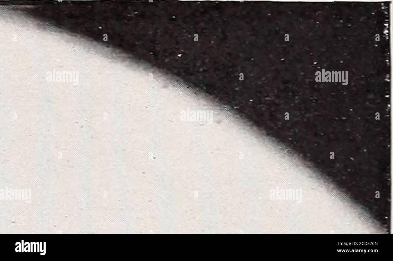 . The structure and development of crown gall : a plant cancer Stock ...