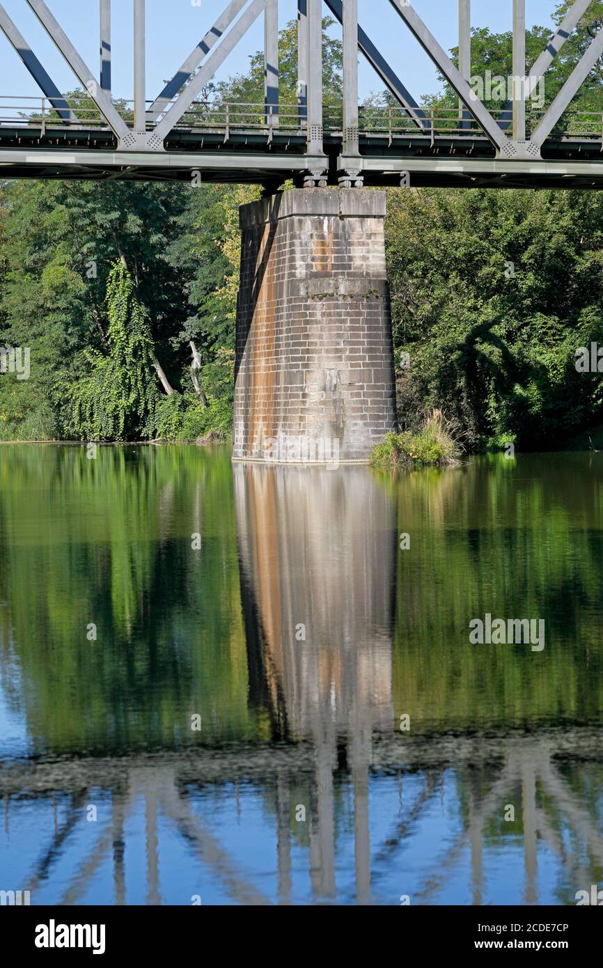 The alluvial forest and water near the river Danube, Lower Austira ...