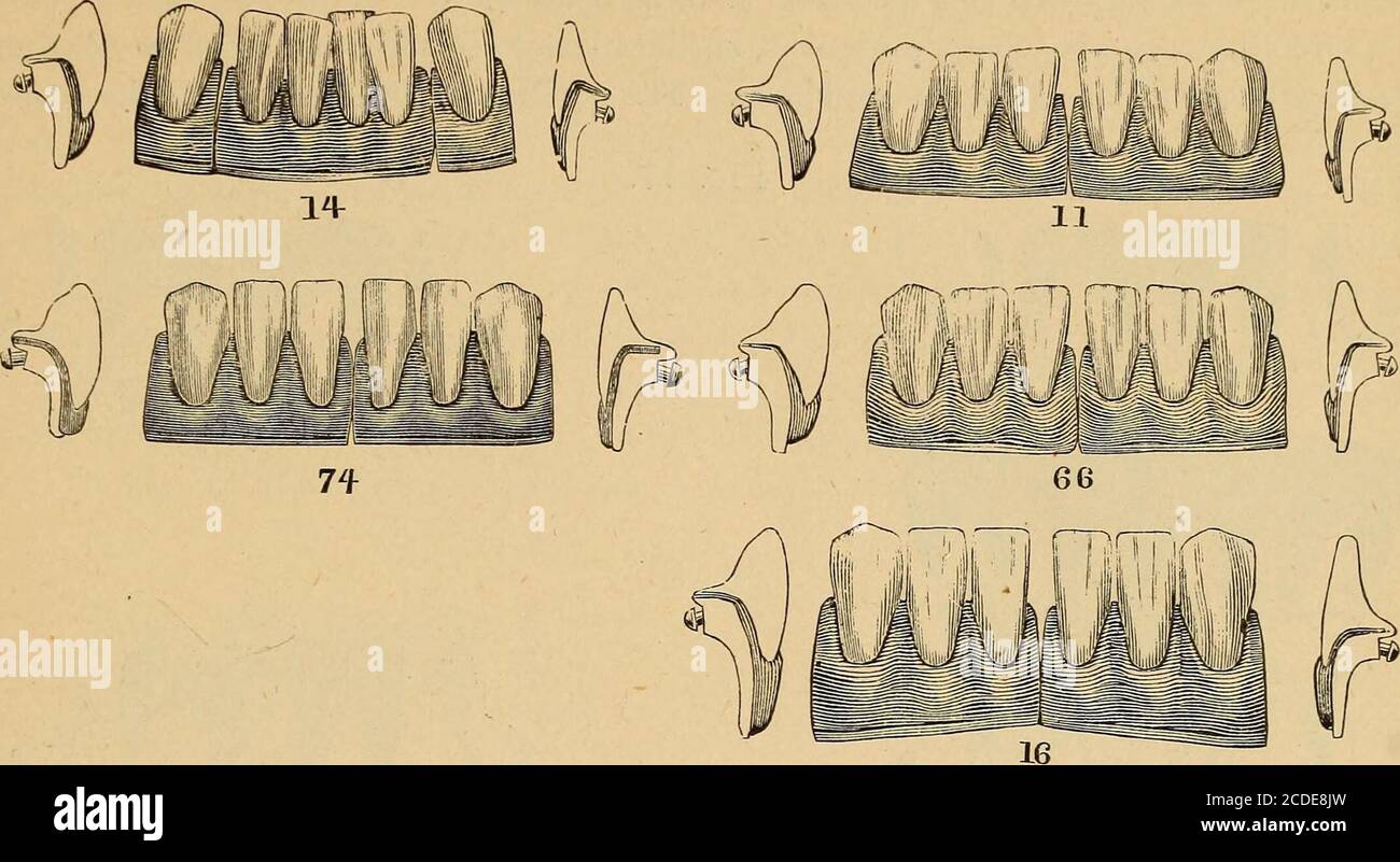 . Catalogue of dental materials, furniture, instruments, etc., for sale ...