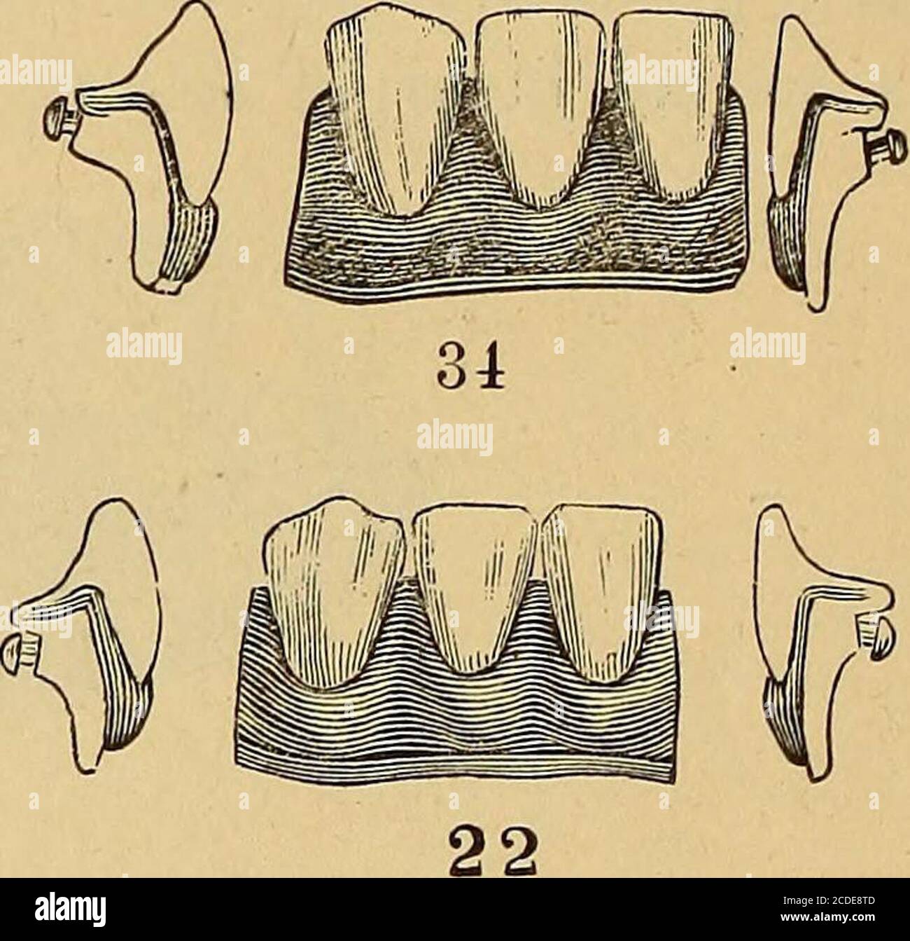 . Catalogue of dental materials, furniture, instruments, etc., for sale ...
