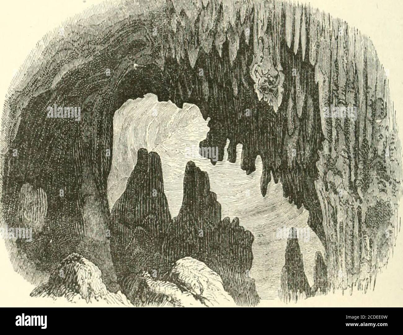 Phocians hi-res stock photography and images - Alamy