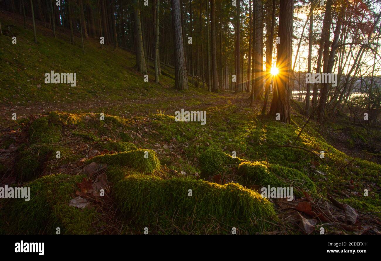 Hitting the ground hi-res stock photography and images - Alamy