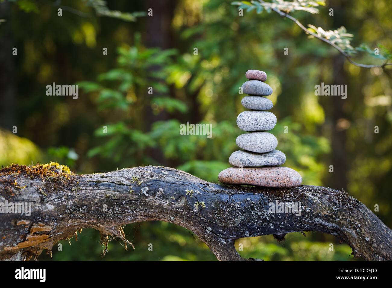 Pyramid stones balance on a tree trunk in the forest. Pyramid in focus ...