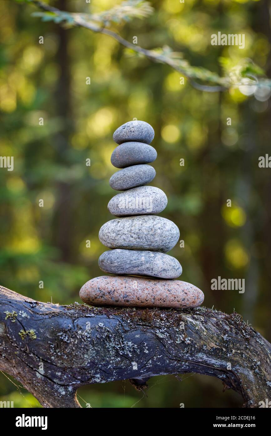 Pyramid stones balance on a tree trunk in the forest. Pyramid in focus ...