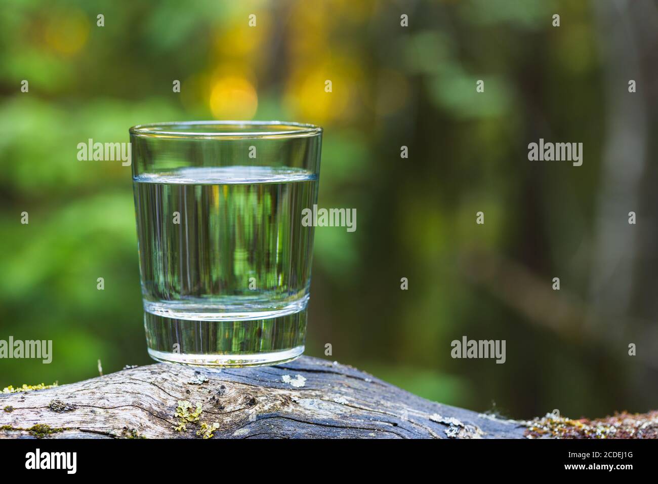 A glass of natural water stands on a tree trunk in the forest. Forest ...