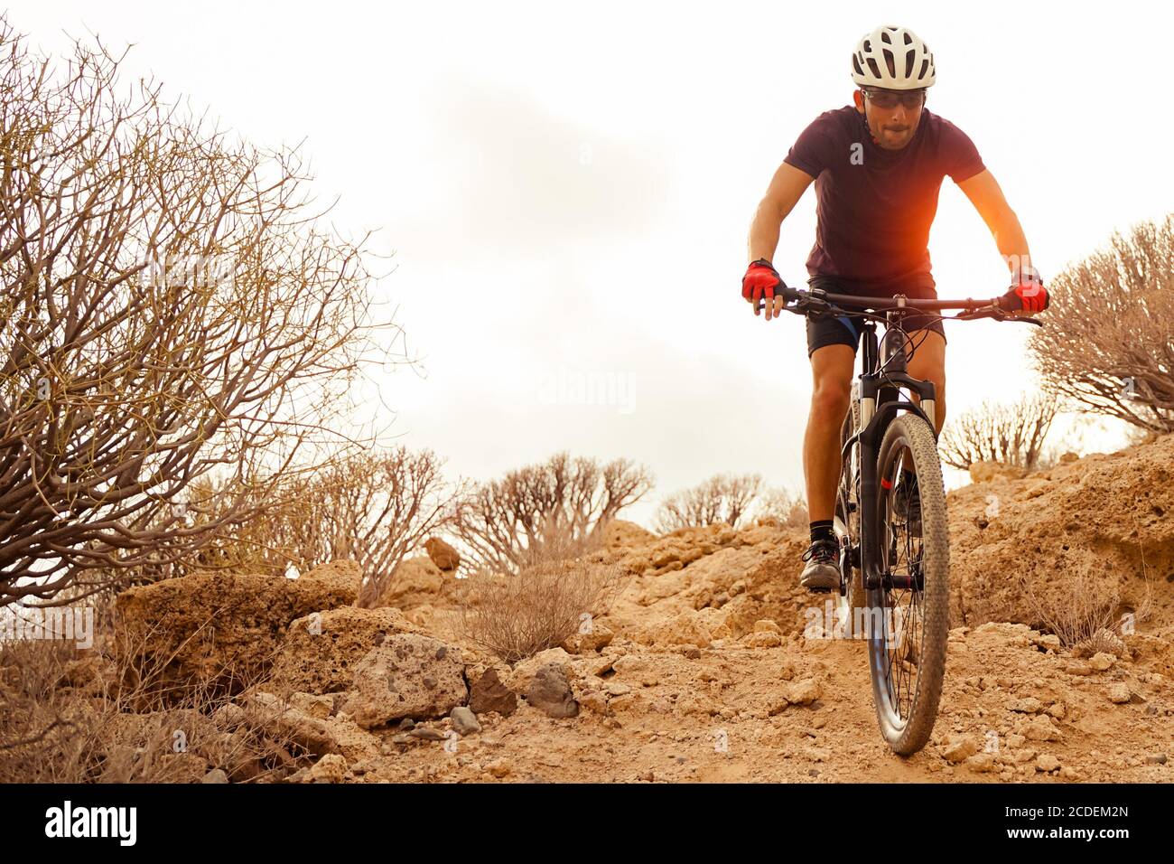 Cyclist in violet Riding the Mountain Bike on the spring Enduro Trail ...