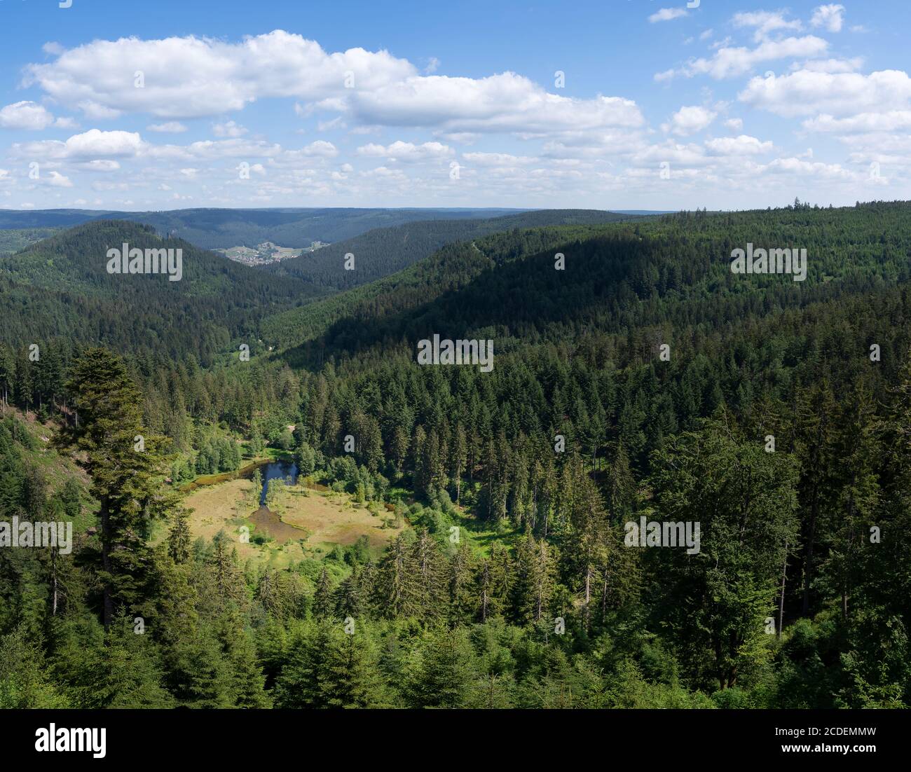 Germany little black forest hi-res stock photography and images - Alamy