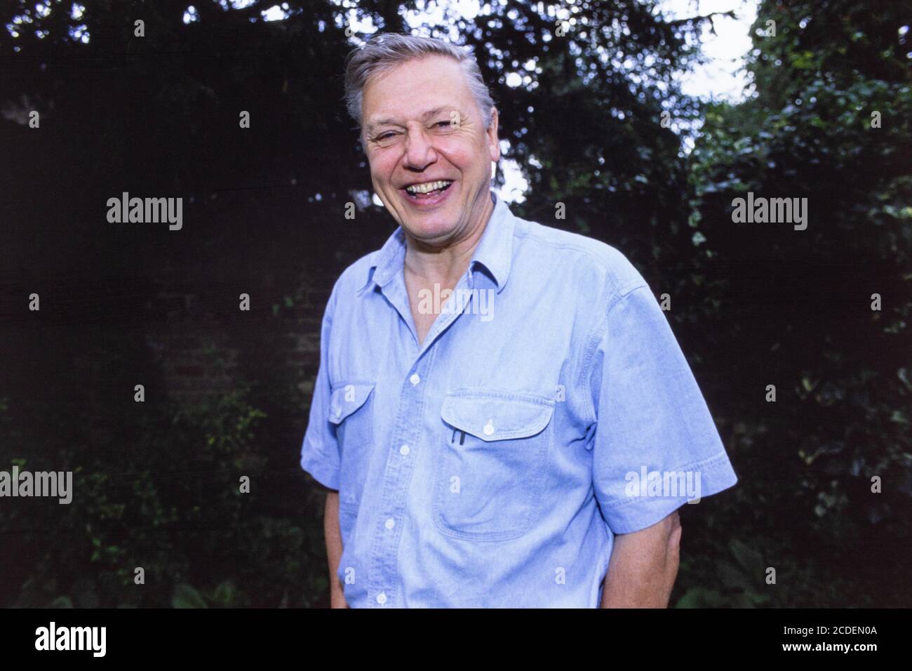 Naturalist and broadcaster David Attenborough photographed at his home in Surrey. 23 August 1991 ...