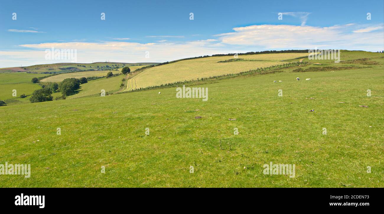 Hill meadows hi-res stock photography and images - Alamy