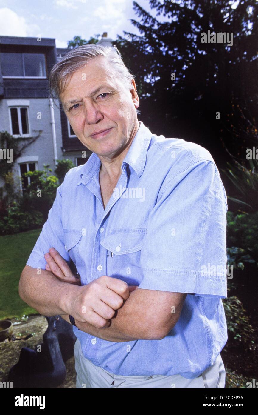 Naturalist and broadcaster David Attenborough photographed at his home ...