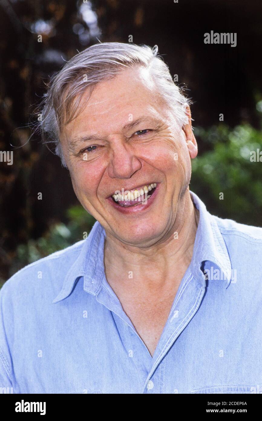 Naturalist and broadcaster David Attenborough photographed at his home ...