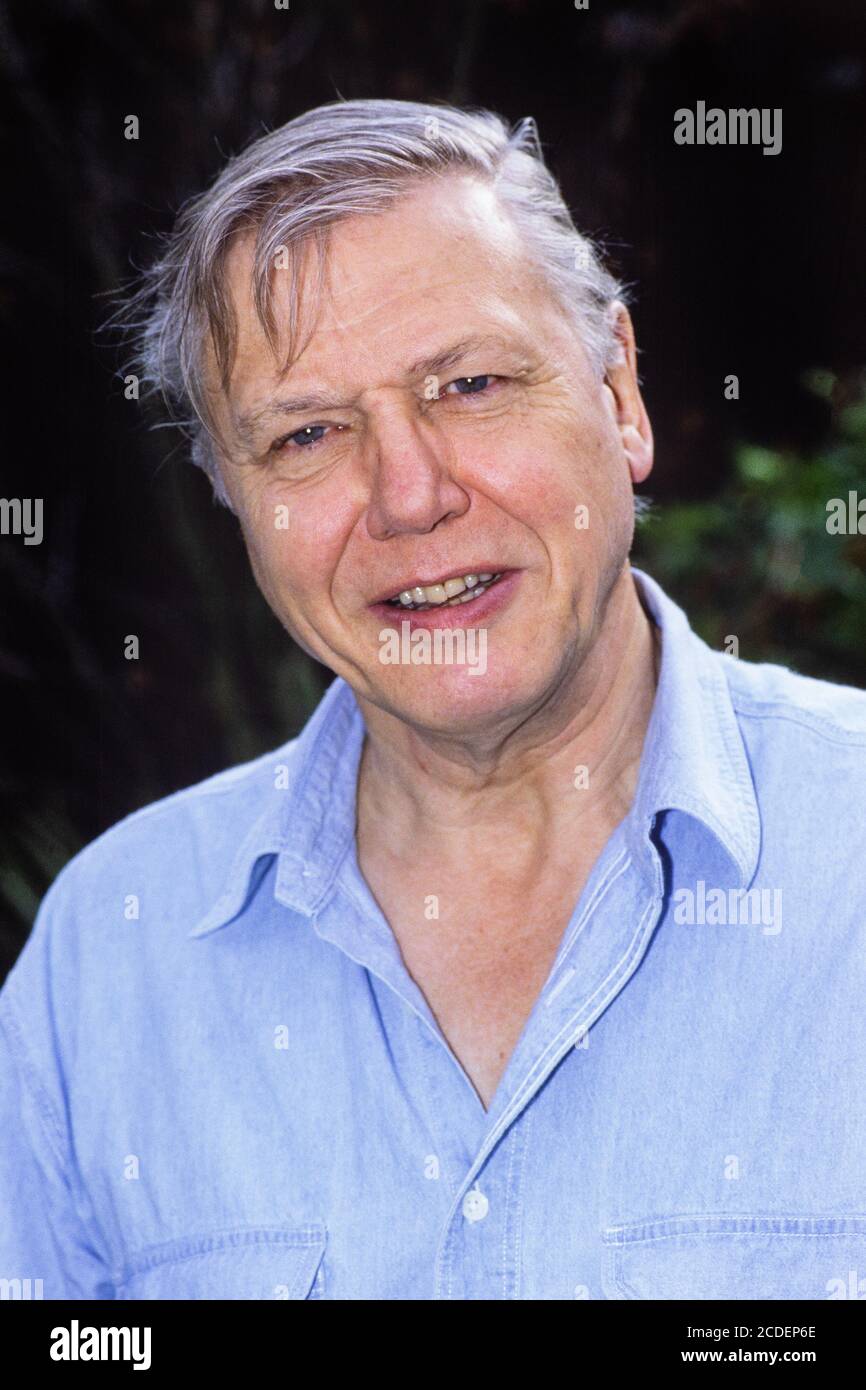 Naturalist and broadcaster David Attenborough photographed at his home in Surrey. 23 August 1991 ...