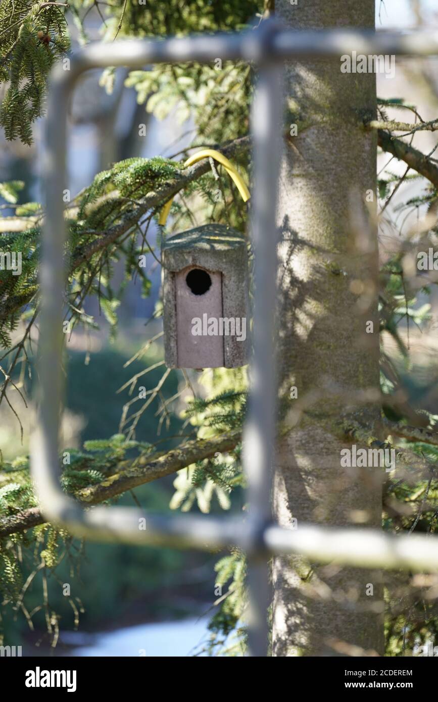 Wooden birdhouse on a tree Stock Photo - Alamy