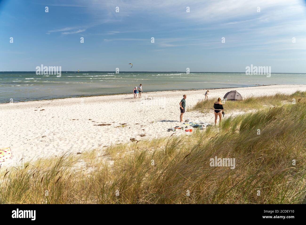 Am Strand von Spodsbjerg, Insel Langeland, Dänemark, Europa ...