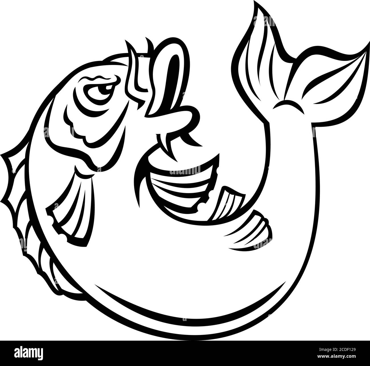 Amur carp japanese Stock Vector Images - Alamy