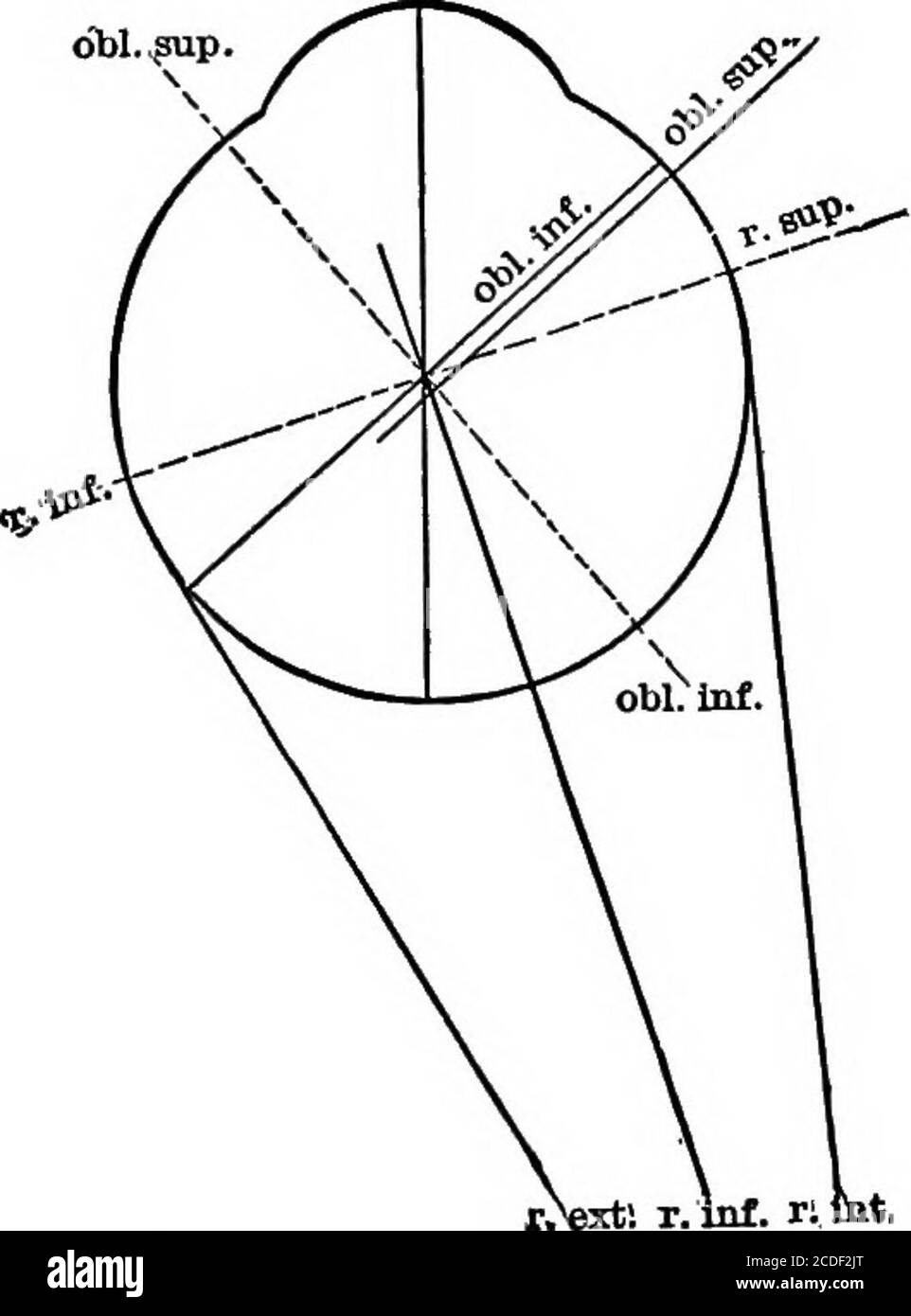 Transverse plane hi-res stock photography and images - Alamy