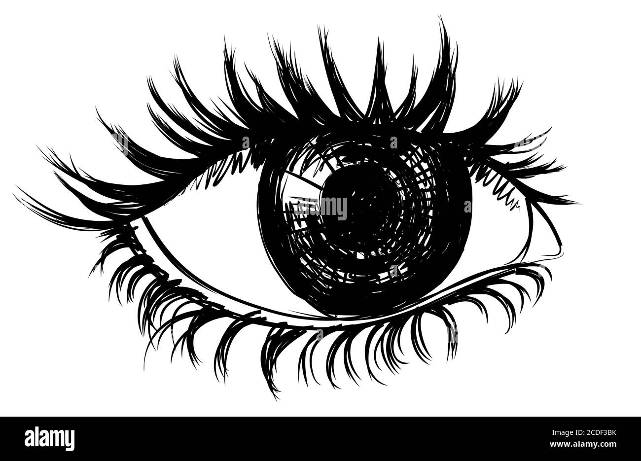 Sketch female eye in ink hi-res stock photography and images - Alamy