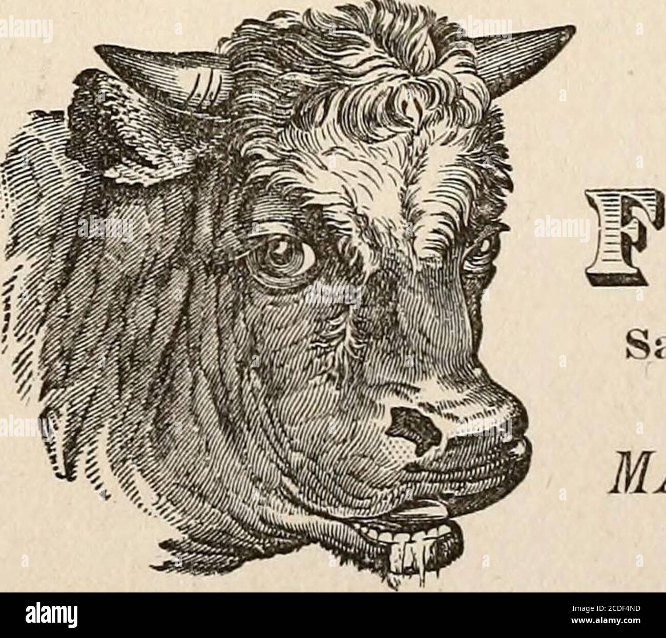 James j sample hi-res stock photography and images - Alamy