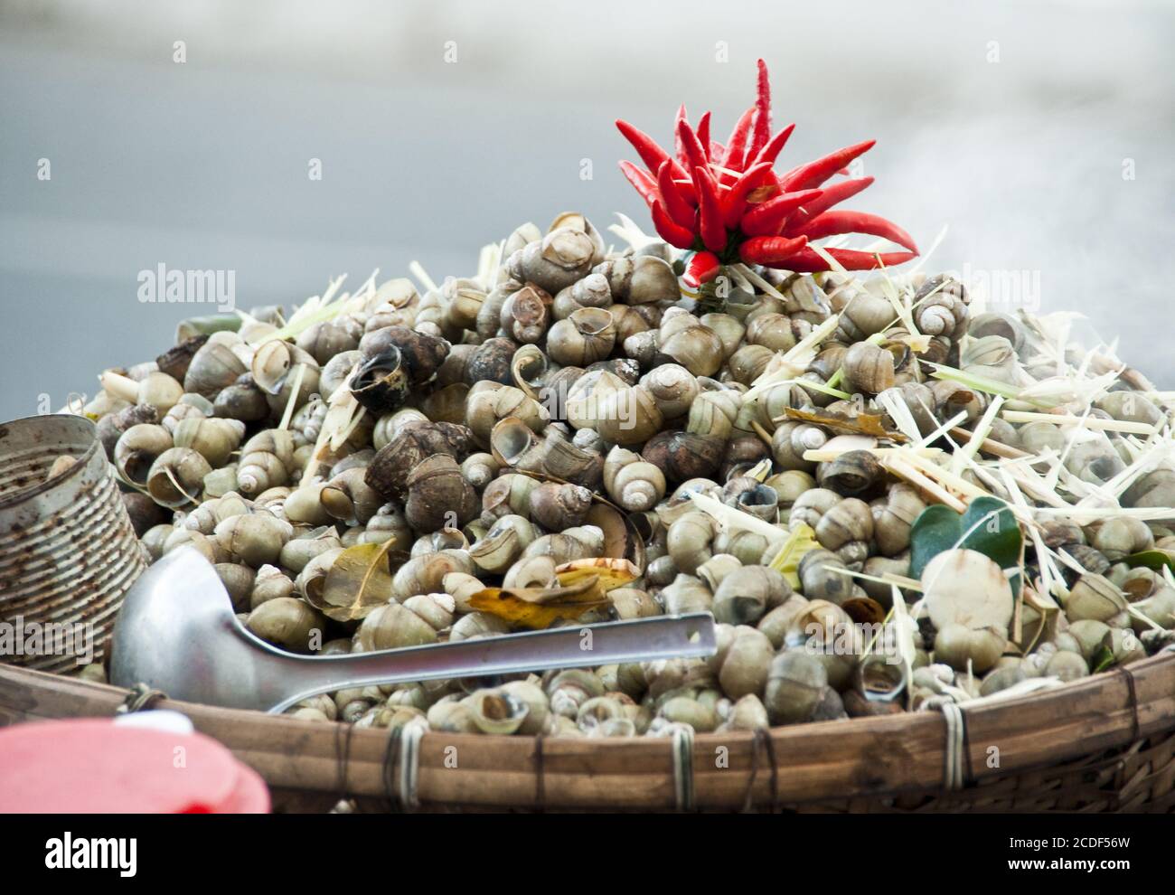 Vietnamese snail hi-res stock photography and images - Alamy
