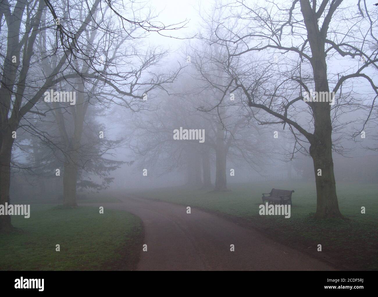 Foggy park bench in Buckminster Stock Photo - Alamy