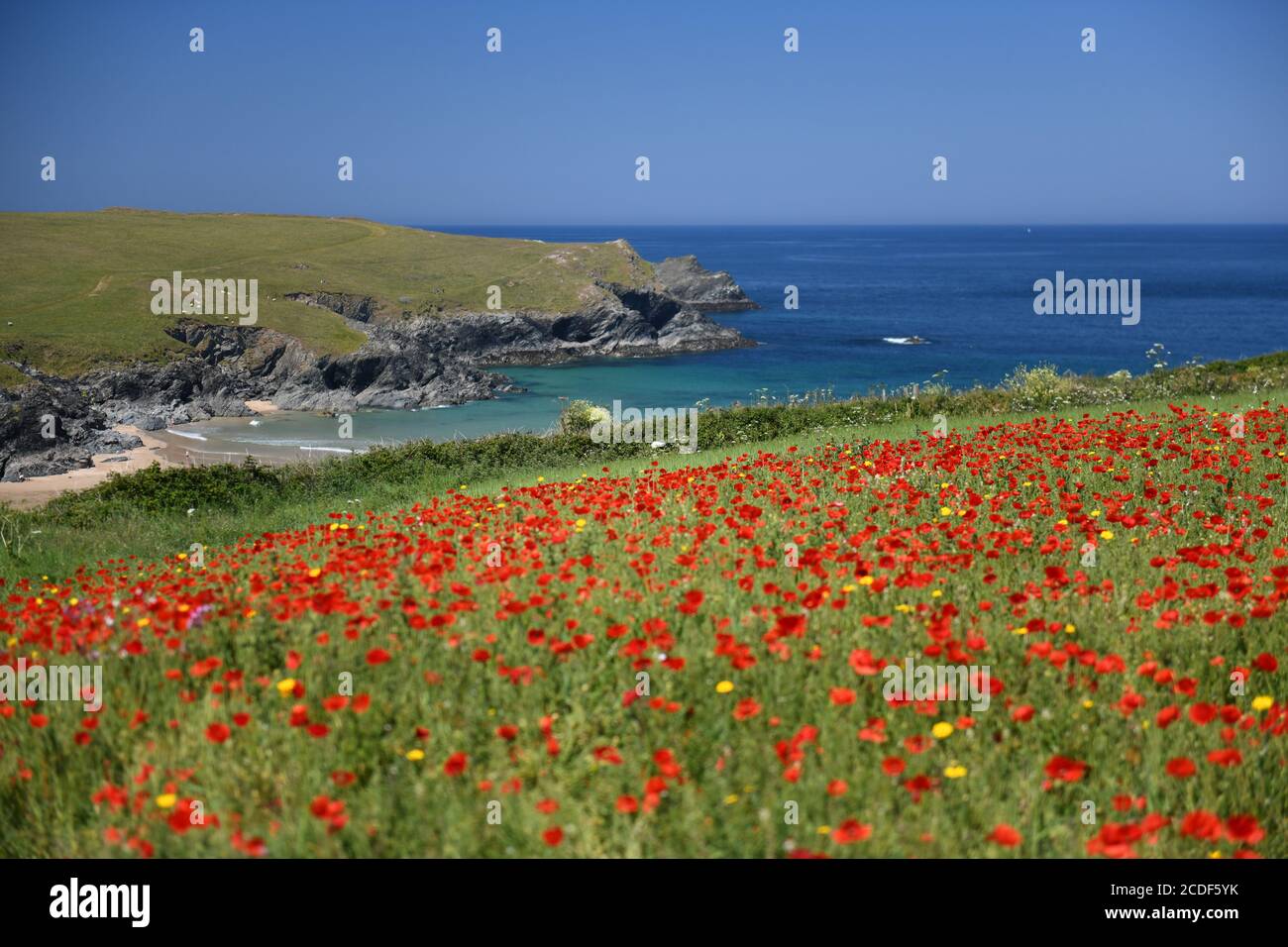 West pentire cornwall hi-res stock photography and images - Alamy