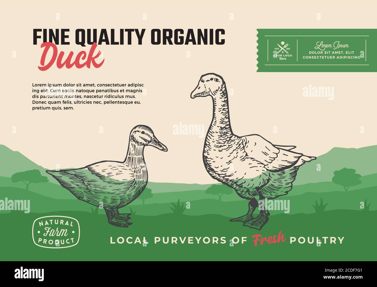 Fine Quality Organic Poultry. Abstract Vector Meat Packaging Design or ...