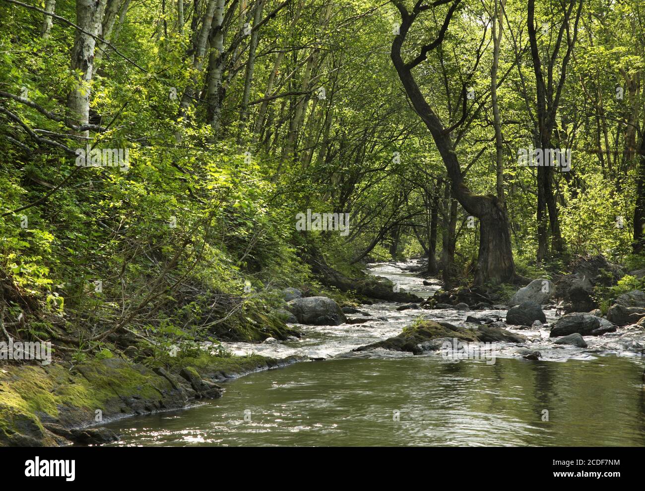 Sakhalin River Landscape High Resolution Stock Photography and Images ...