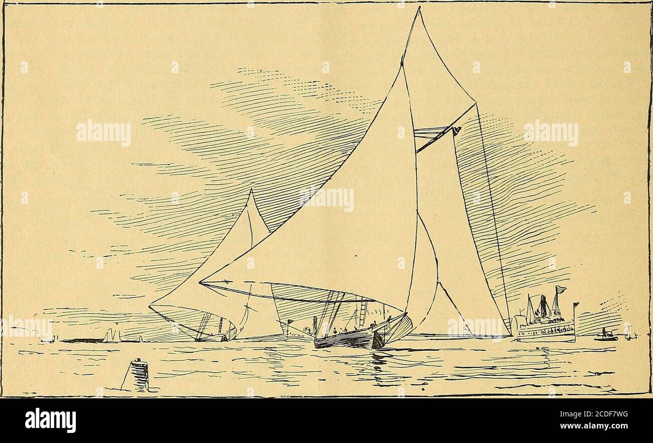 . Races for the America's cup . that in her he had improved onthe Arrow ...