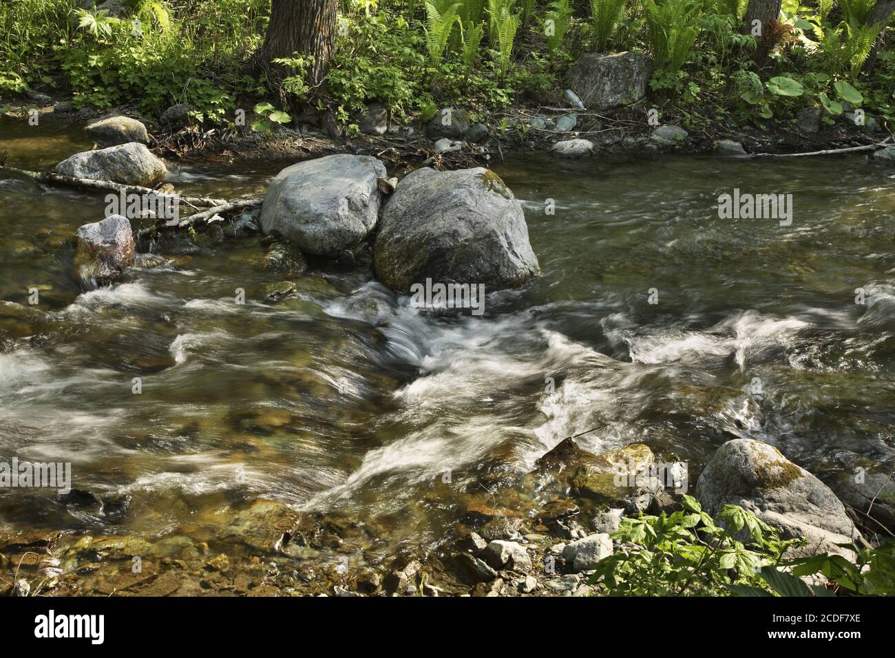 Sakhalin River Landscape High Resolution Stock Photography and Images ...